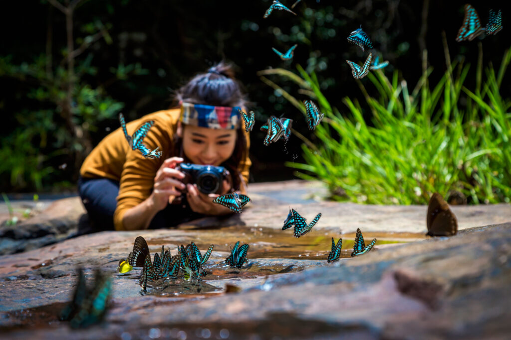 Turismo de Tailandia_Pang Sida National Park, Sa Kaeo - Turismo de ...